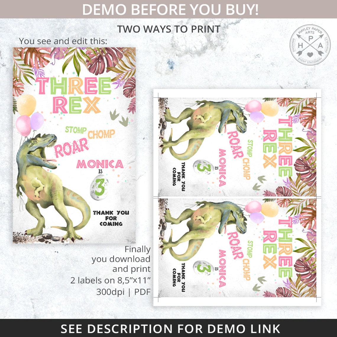 Dinosaur Three Rex Paper Bag Label, Gift Labels, T-rex Dino Third Girl ...