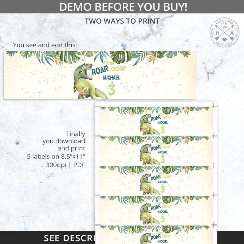 Dinosaur Water Bottle Labels T-rex Dino-mite Party Prehistoric - Etsy