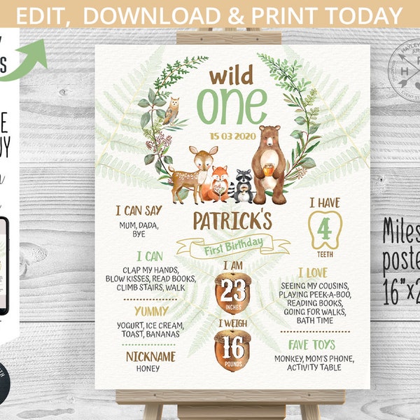 Woodland First Birthday - Etsy