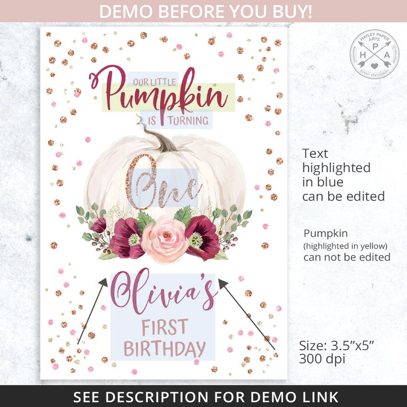 MEGA BUNDLE Pumpkin ONE Birthday Party Pack Chips Bags - Etsy