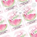 EDITABLE Watermelon Favor Gift Tag One in a Melon Tags First Girl ...