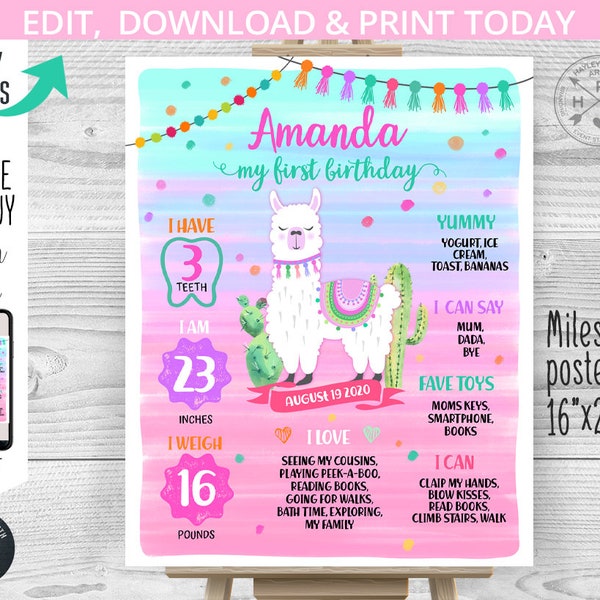 Llama First Birthday - Etsy