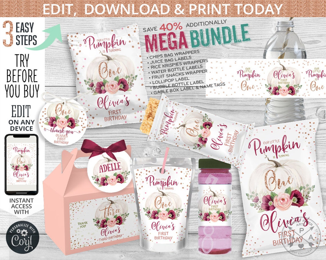 MEGA BUNDLE Pumpkin ONE Birthday Party Pack Chips Bags - Etsy