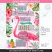 Let's Flamingle First Birthday Invitation Flamingo - Etsy