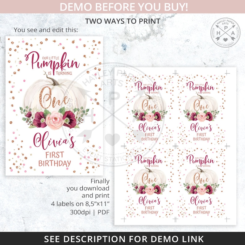 MEGA BUNDLE Pumpkin ONE Birthday Party Pack Chips Bags - Etsy