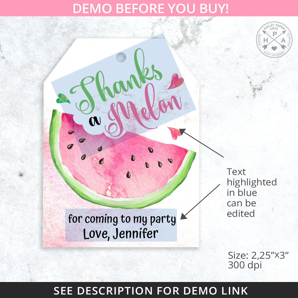 Watermelon Favor Gift Tag One in a Melon Tags First Girl Birthday Pink ...