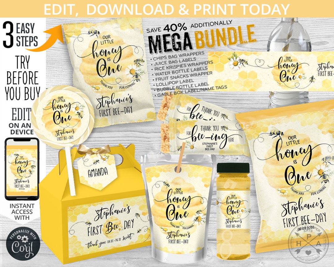 MEGA BUNDLE Bee Birthday Party Pack, Honey ONE Chips Bags, Juice ...