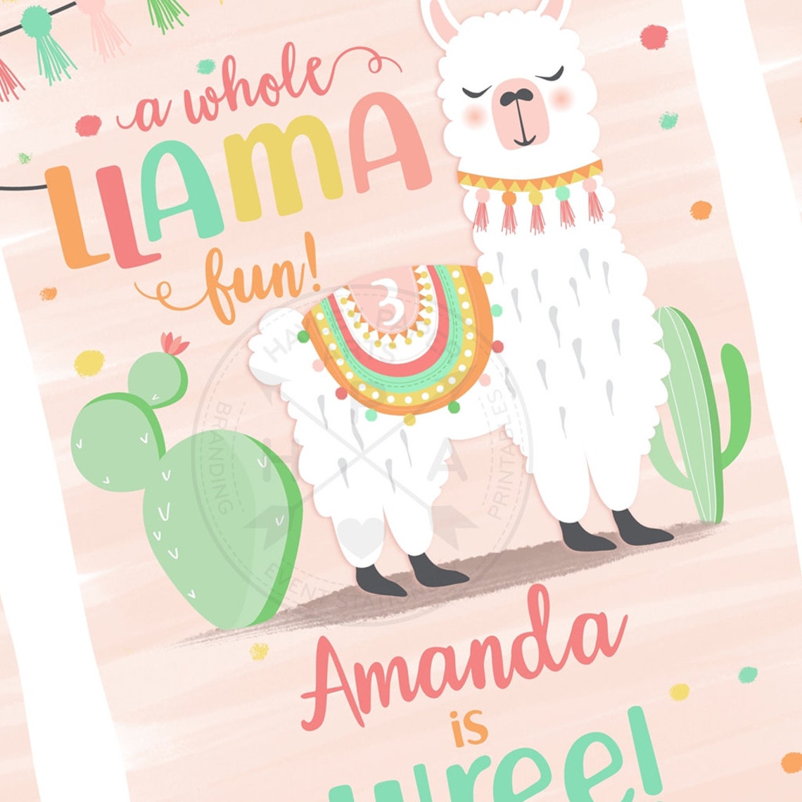 Llama Fun Chip Bag, Snacks Treat Bags, Chips Pouch, Wrapper, Cactus ...