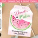 EDITABLE Watermelon Favor Gift Tag One in a Melon Tags First | Etsy