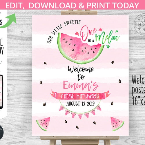 One in a Melon 1st Birthday. Watermelon Straws. One in a Melon - Etsy