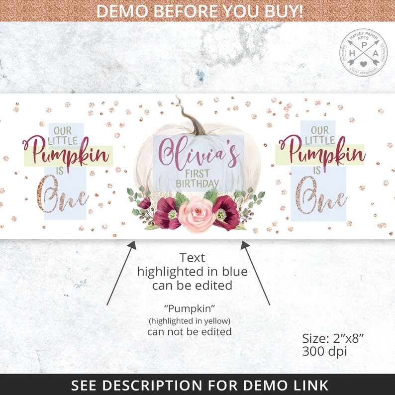 MEGA BUNDLE Pumpkin ONE Birthday Party Pack Chips Bags - Etsy