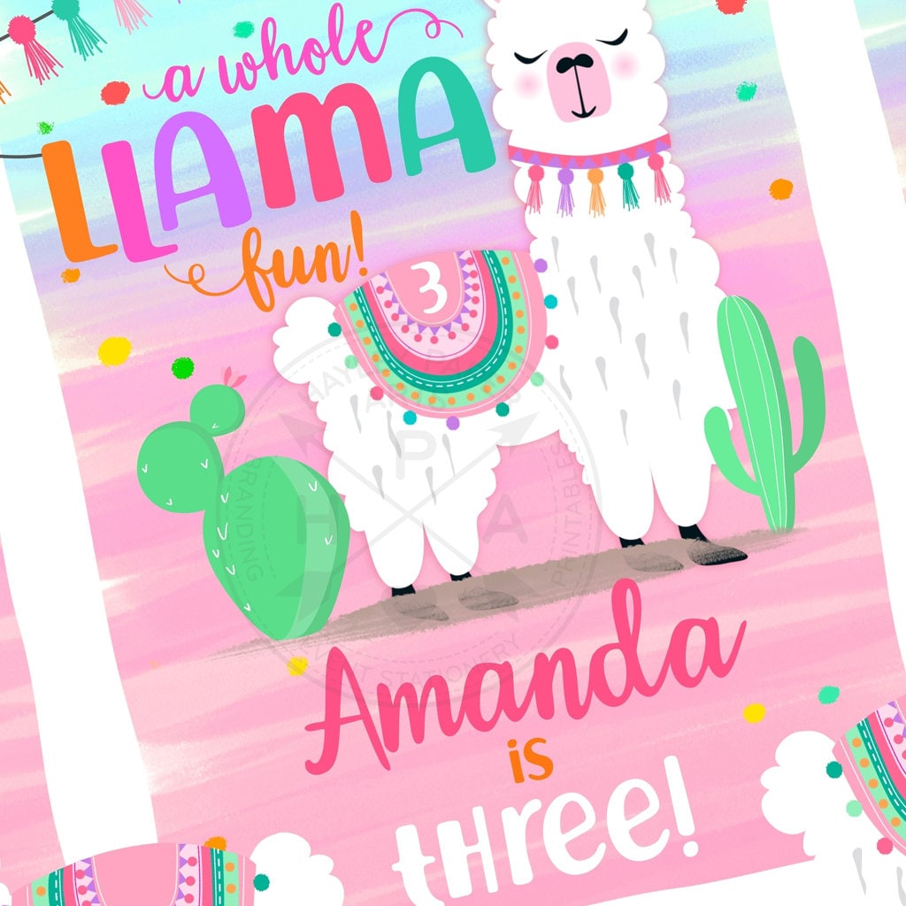 Llama Fun Chip Bag, Snacks Treat Bags, Chips Pouch, Wrapper, Cactus ...