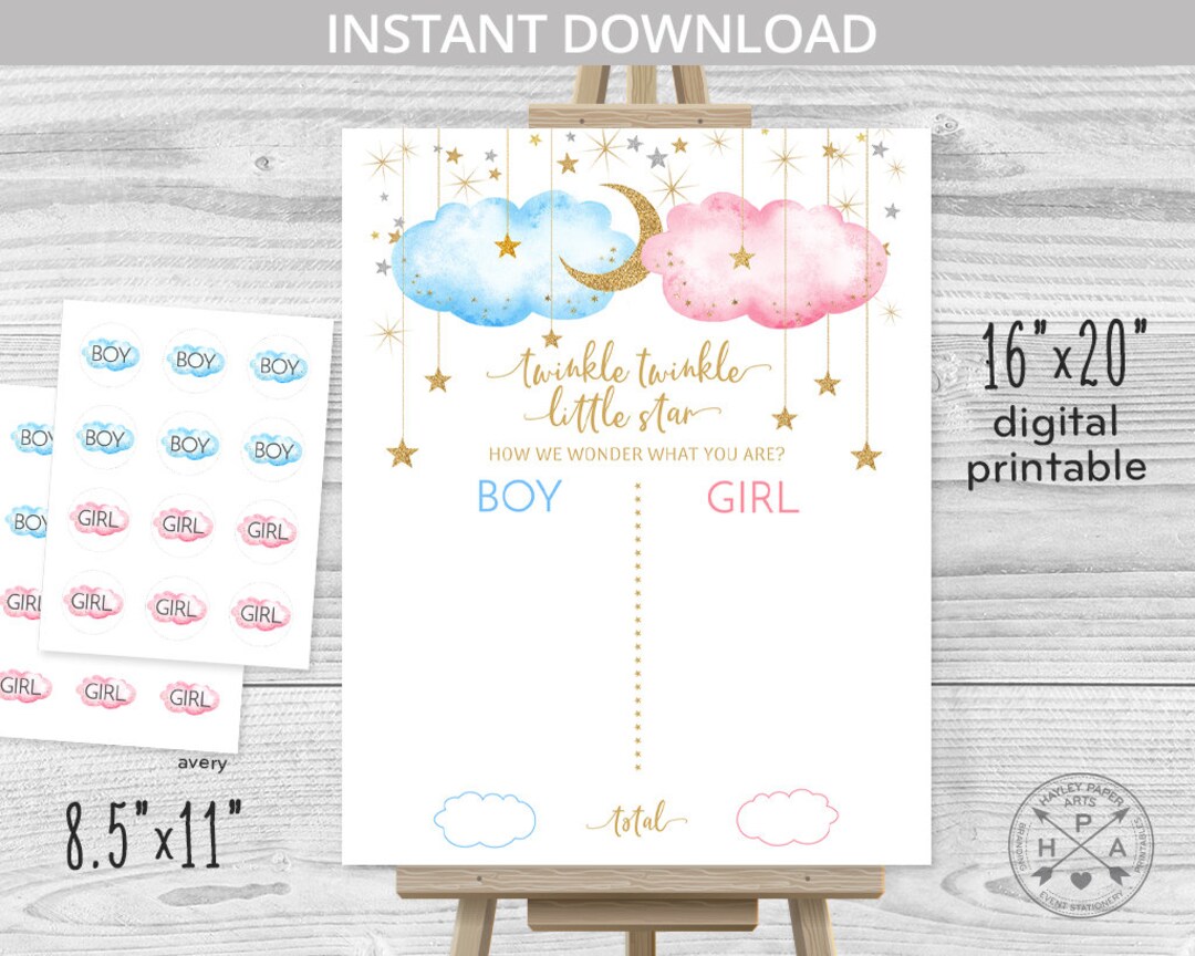 Gender Reveal Voting Sign Twinkle Little Star Baby Shower He or She ...