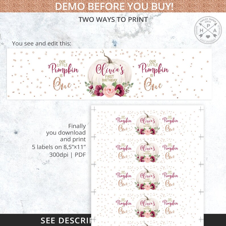 MEGA BUNDLE Pumpkin ONE Birthday Party Pack Chips Bags - Etsy