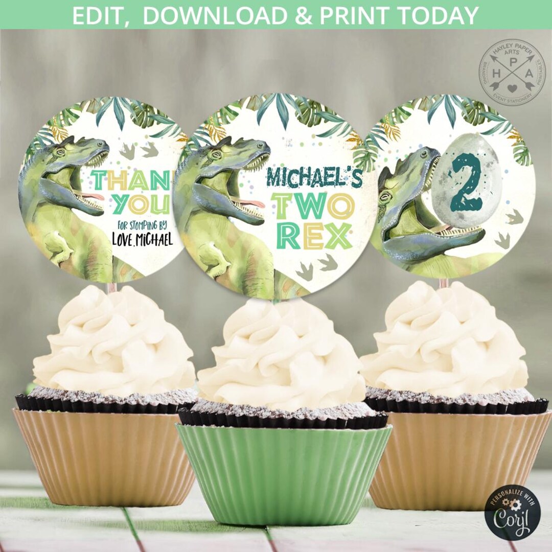 Two Rex Cupcake Toppers Dinosaur Second Boy Cake Topper Dino Roar ...