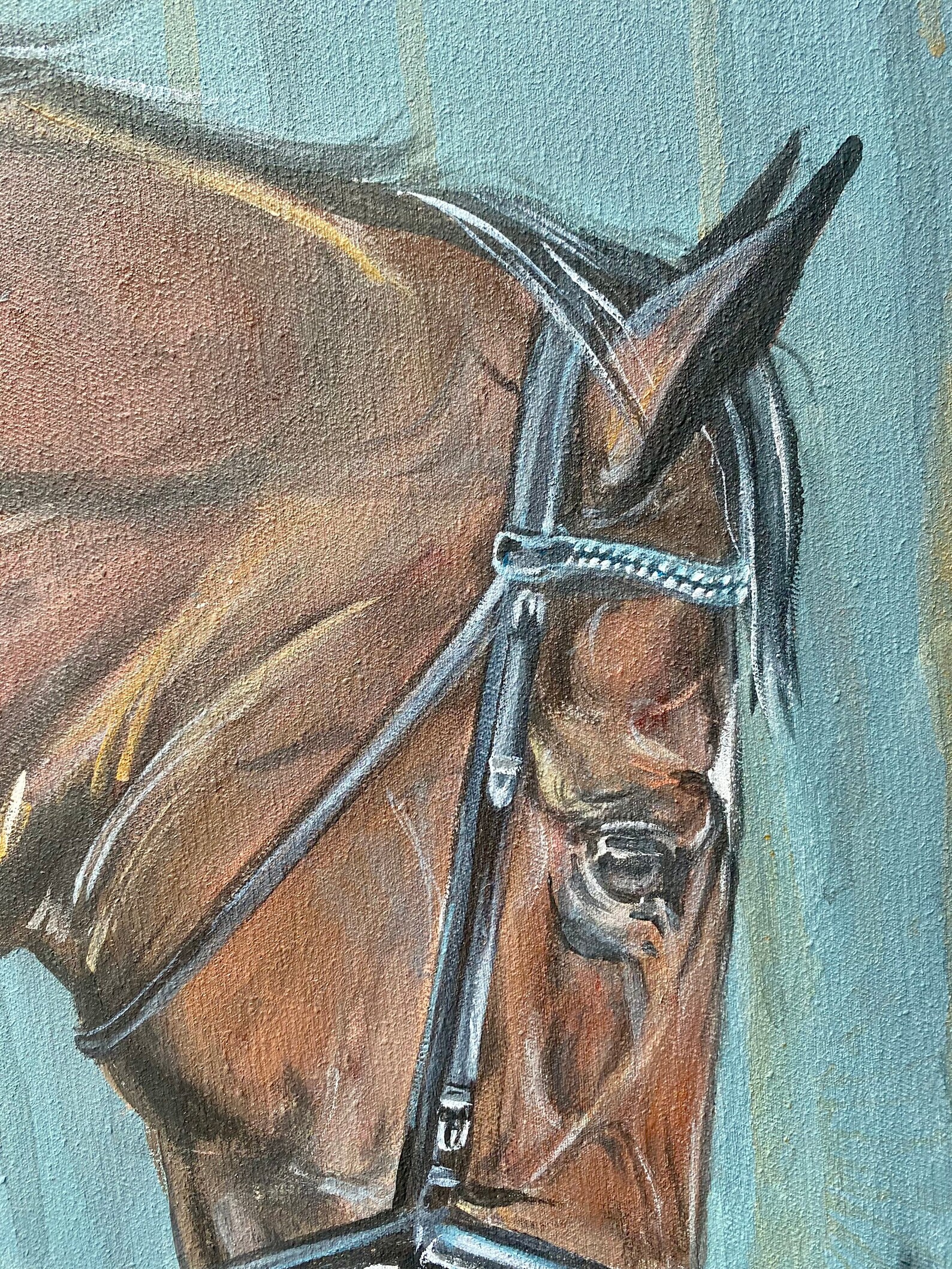 16x16 blue Jumper Horse Show Horse in Bridle - Etsy