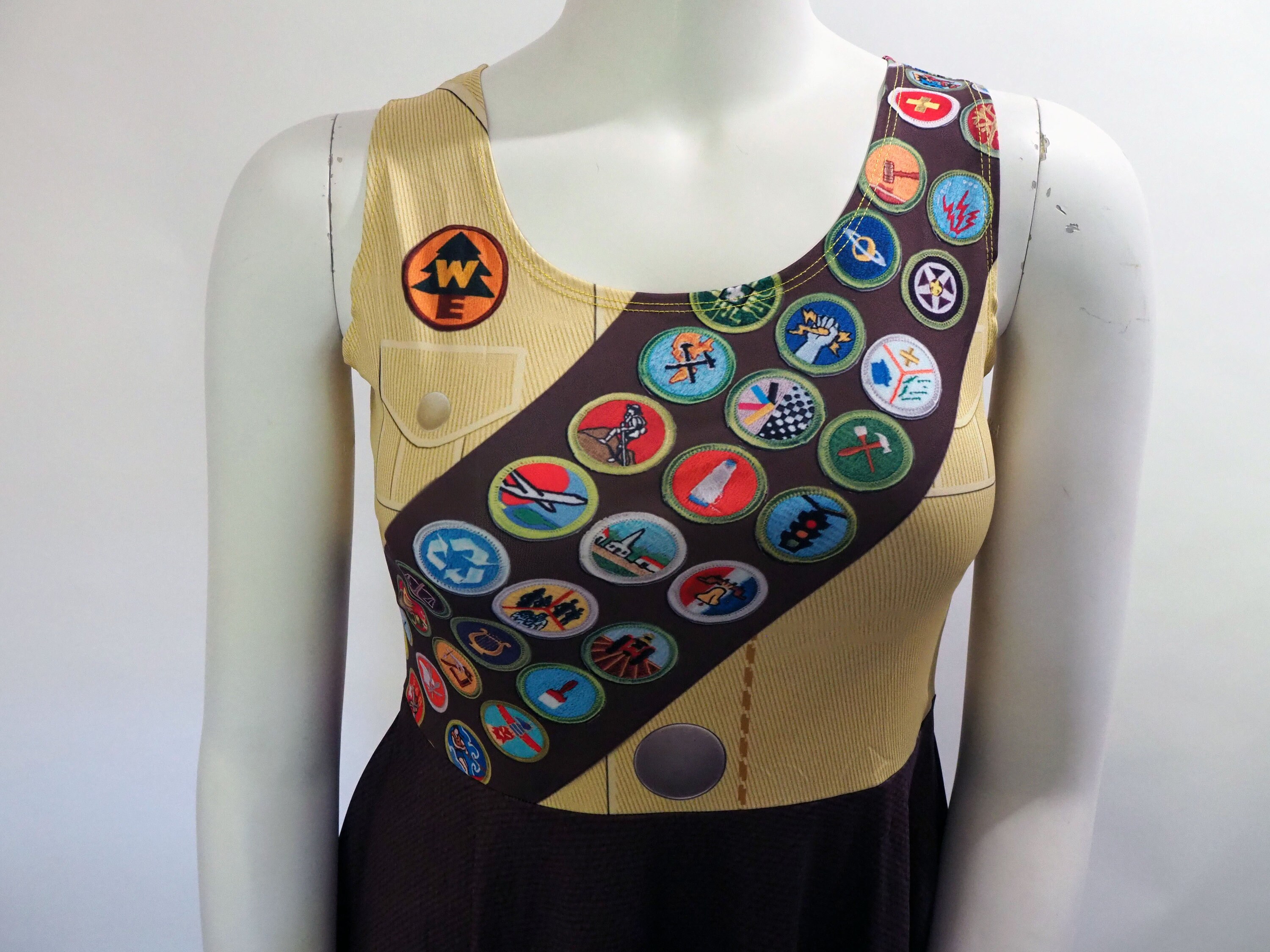 Russell up Wilderness Explorer Inspired Skater Dress | Etsy