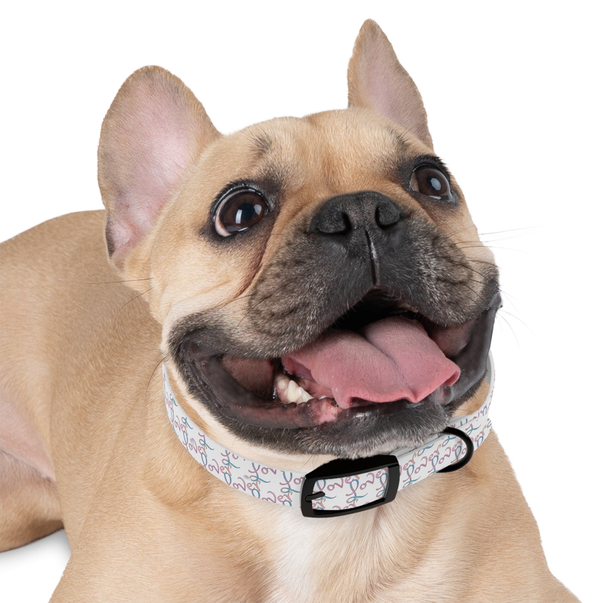 Lover Album Inspired Taylor Swift Dog Collar, Celebrity Style Pet ...