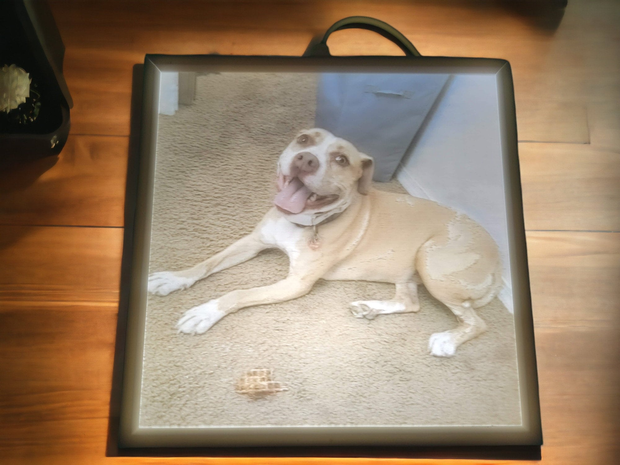 Square Color Lithophane Box - Etsy