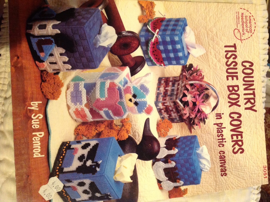 Country Tissue Box Covers in Plastic Canvas American School of ...