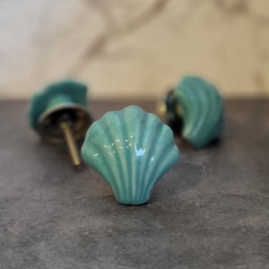 Teal Glaze Sea Shell Drawer Pull Scallop Shell Cabinet Knob - Etsy