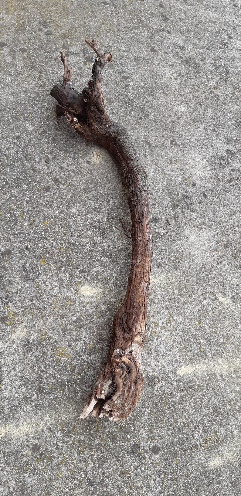 Rustic Grape Vine Wood: Natural Farmhouse Decor - Etsy