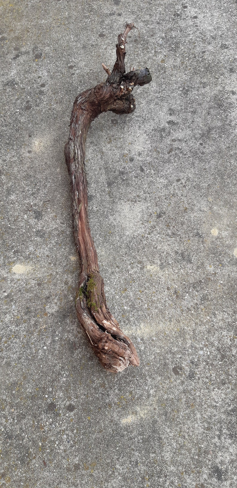 Vine Grape Rustic Wood, Grapevine Decor, Rustic, Large, Natural, Wall ...