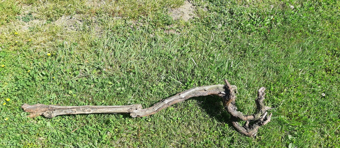 Vine Grape Rustic Wood Grapevine Decor Rustic Large - Etsy