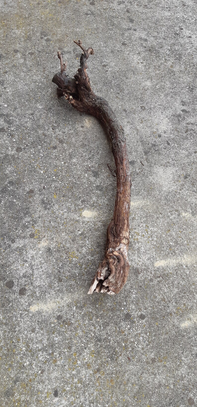 Rustic Grape Vine Wood: Natural Farmhouse Decor - Etsy