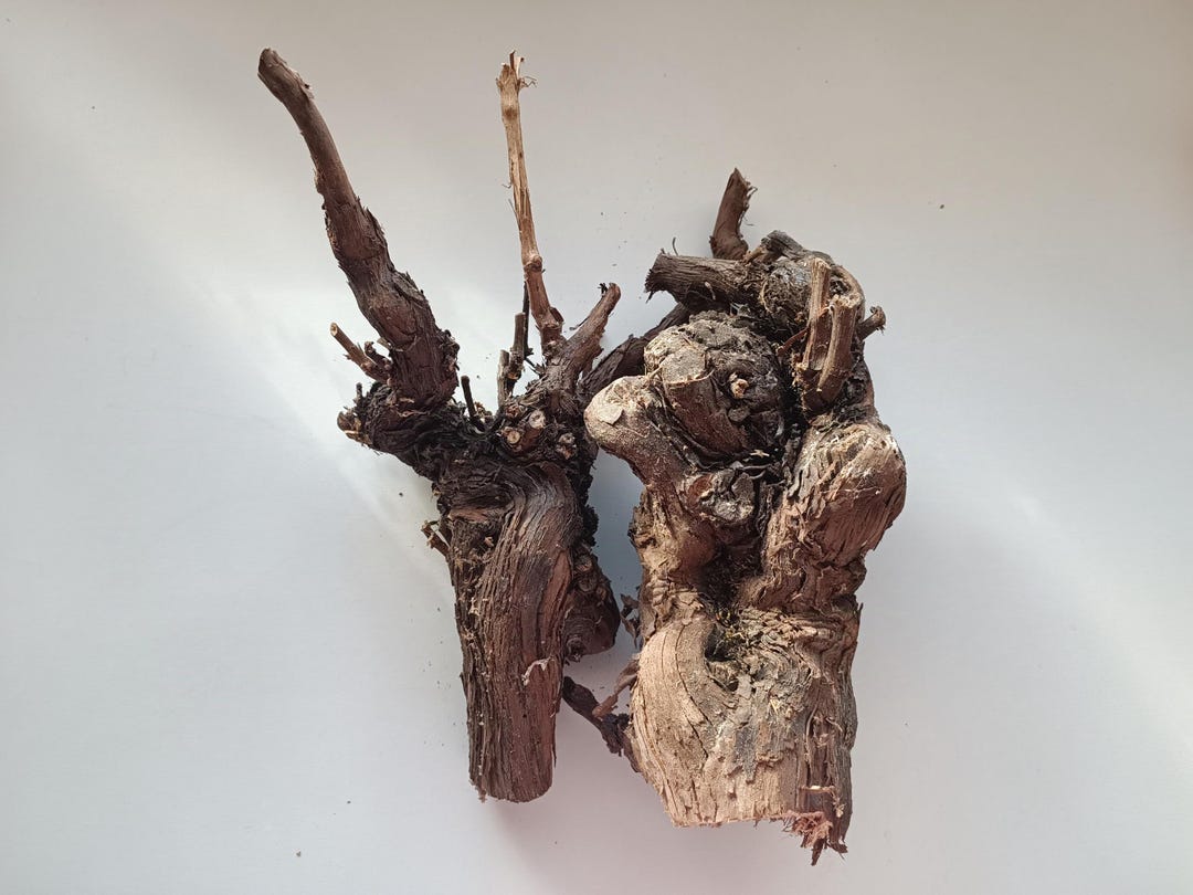 Vine Grape, Rustic Wood, Grapevine Decor, Rustic, Wood Decor, Branch ...