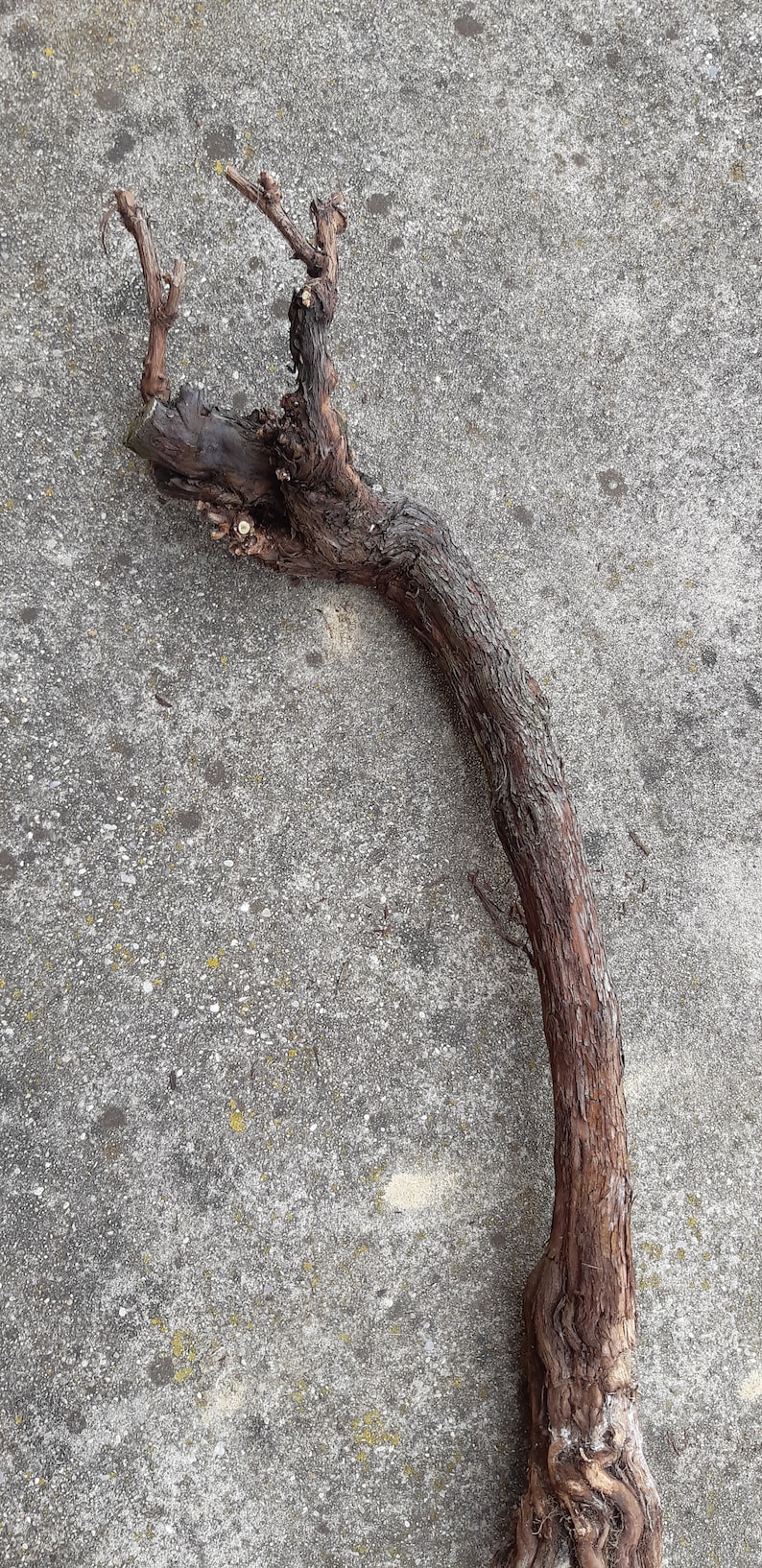 Vine Grape Rustic Wood, Grapevine Decor, Rustic, Large, Natural, Wall ...