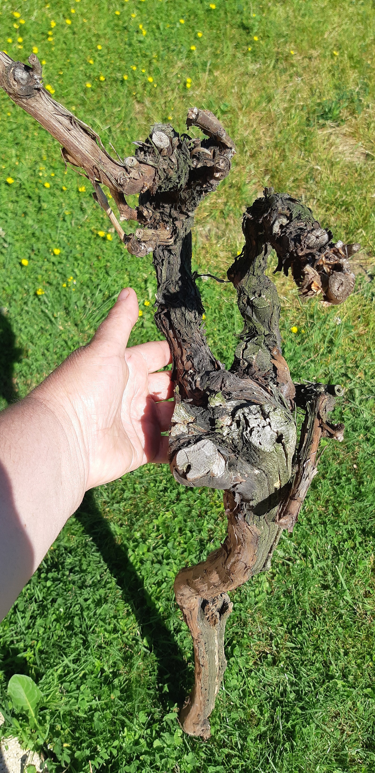 Vine Grape Rustic Wood, Grapevine Decor, Rustic, Large, Natural, Wall ...