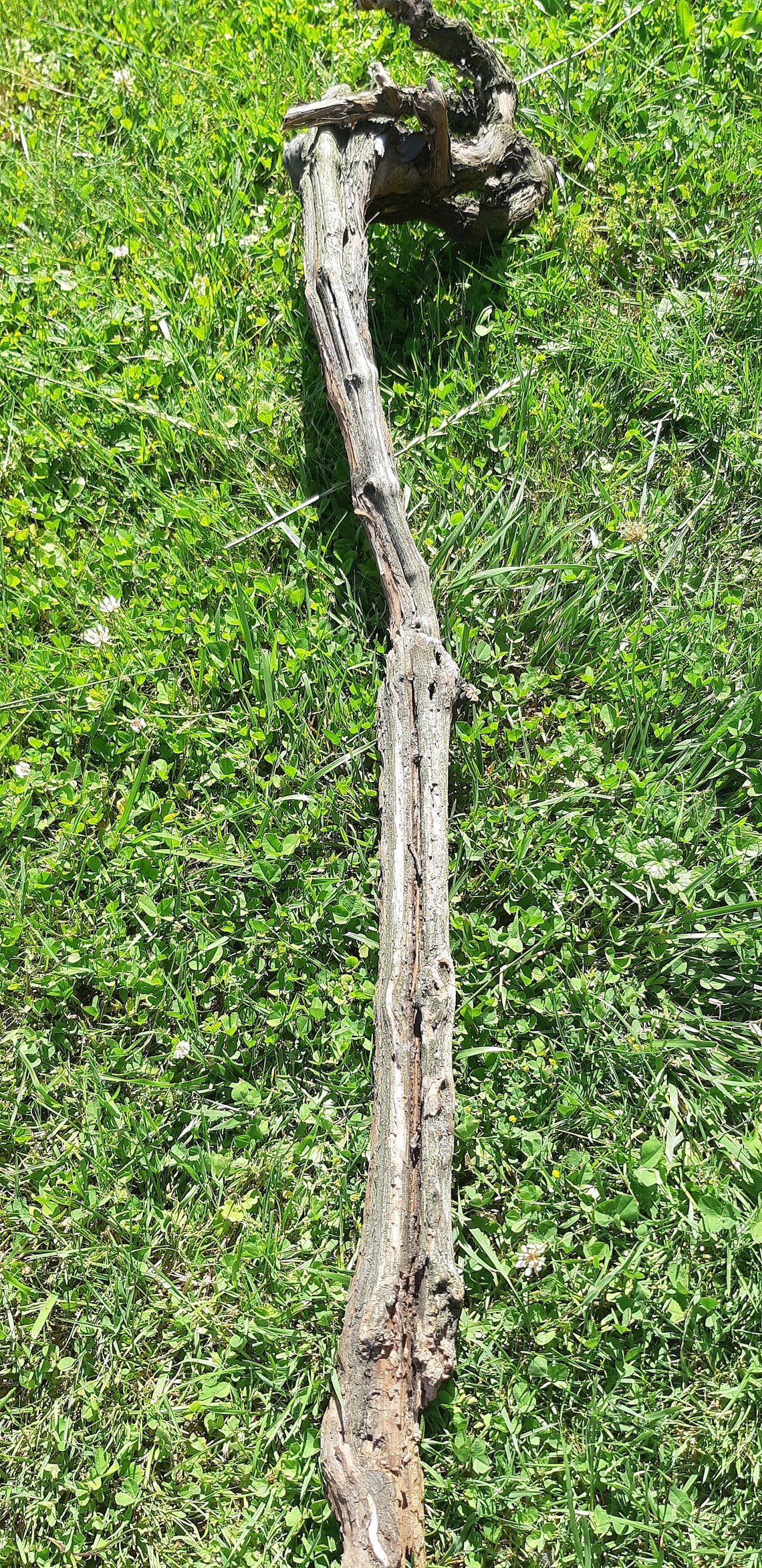 Vine Grape Rustic Wood Grapevine Decor Rustic Large - Etsy