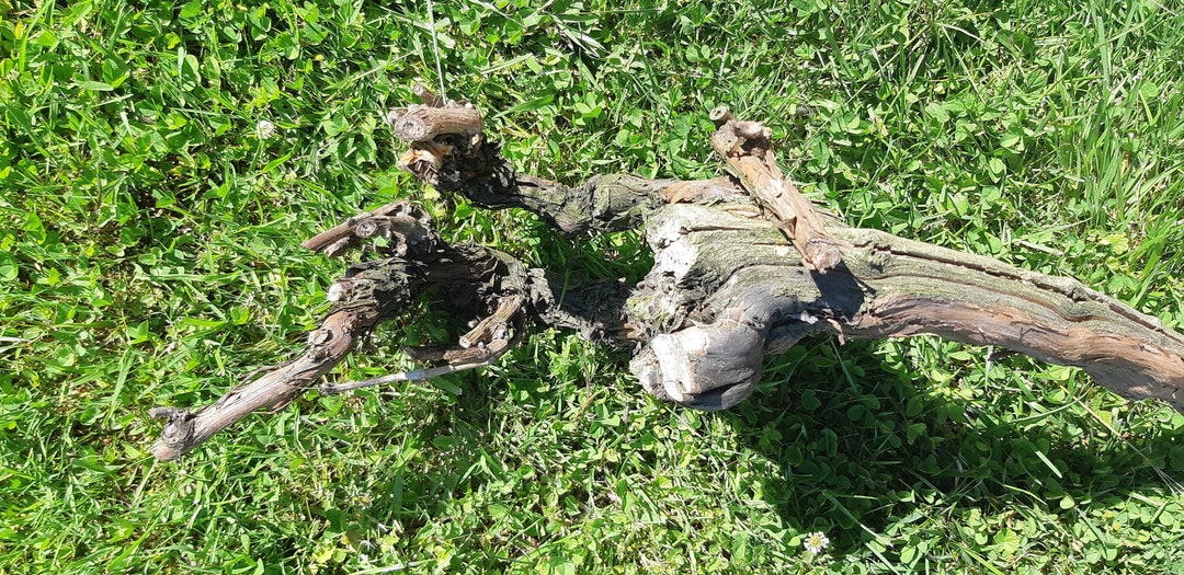 Vine Grape Rustic Wood, Grapevine Decor, Rustic, Large, Natural, Wall ...