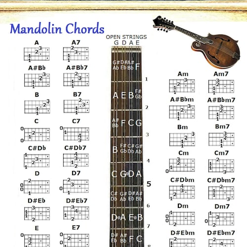 Mandolin Chord Chart for Mandolin - Etsy
