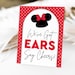 Editable Minnie Birthday Signs in Red Modern Minnie Mouse Party Signs ...