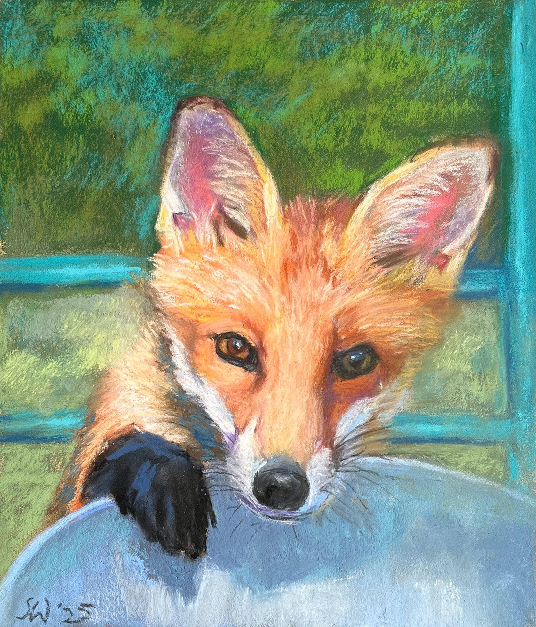 Fox Painting in Pastel Original Art - Etsy