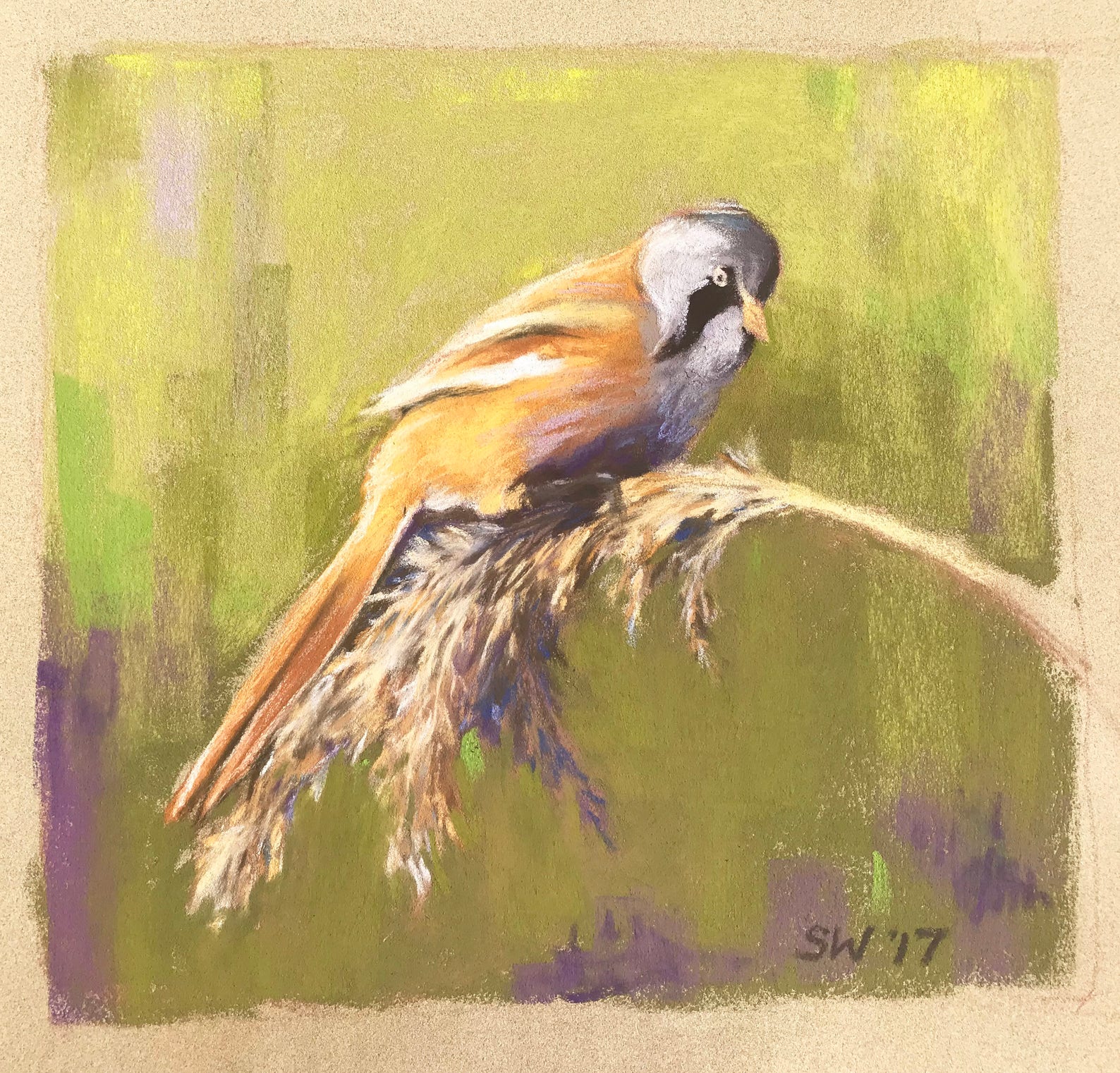 Original Painting of Bearded Reedling Bird Art - Etsy