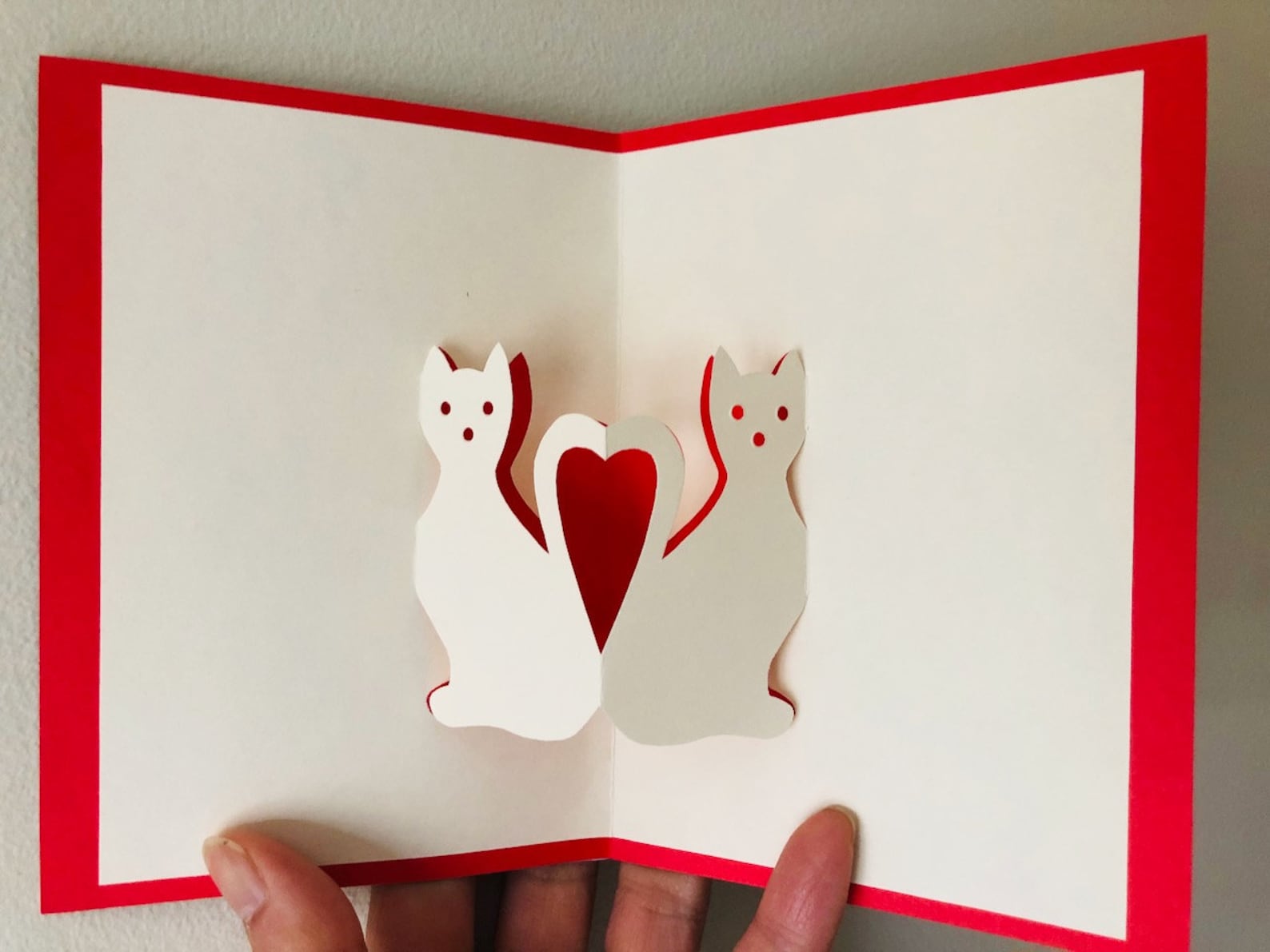 Cats Pop-up Card - Etsy