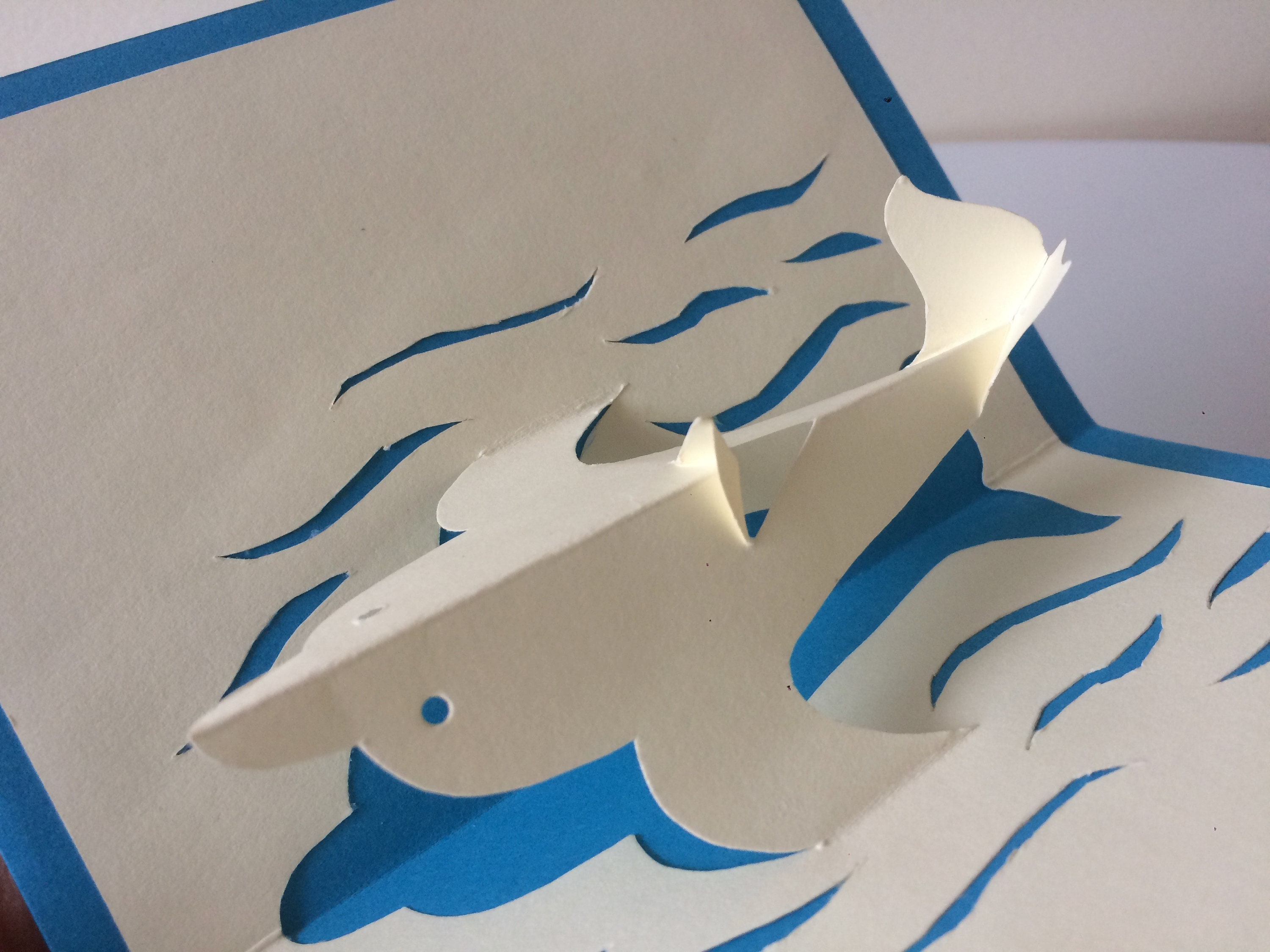 Dolphin Pop-up Card - Etsy