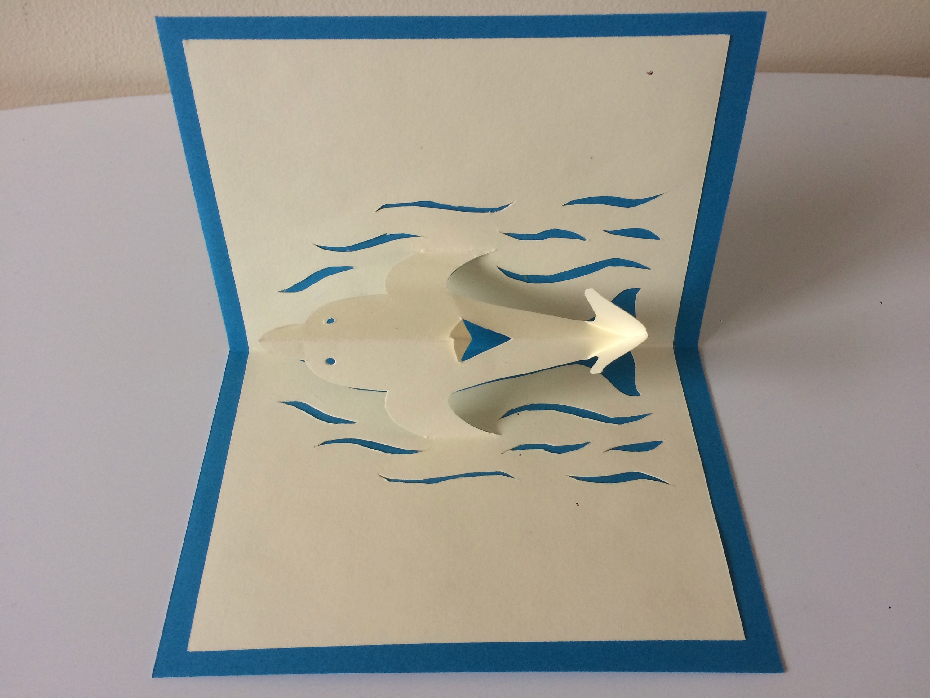 Dolphin Pop-up Card - Etsy