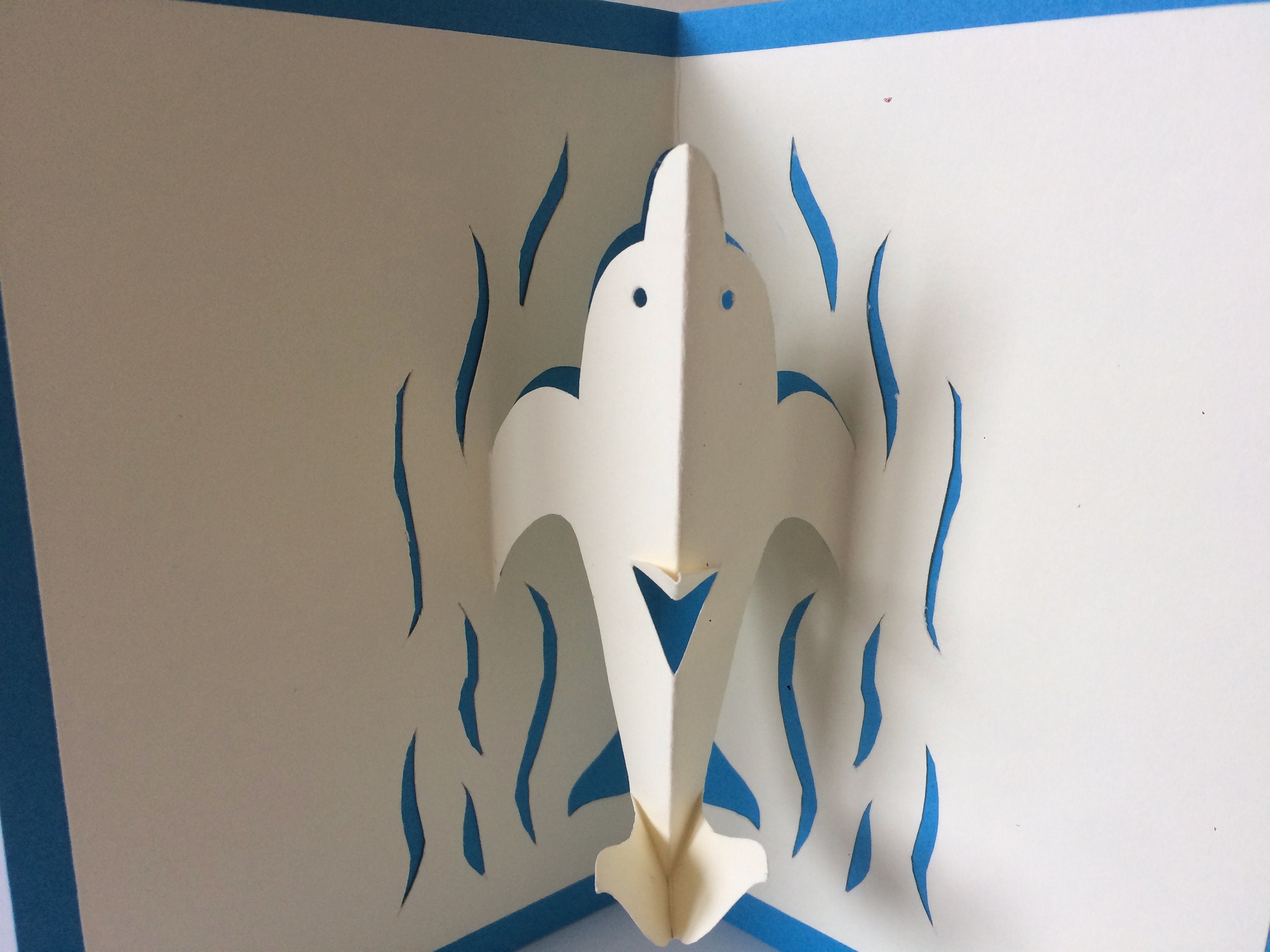 Dolphin Pop-up Card - Etsy