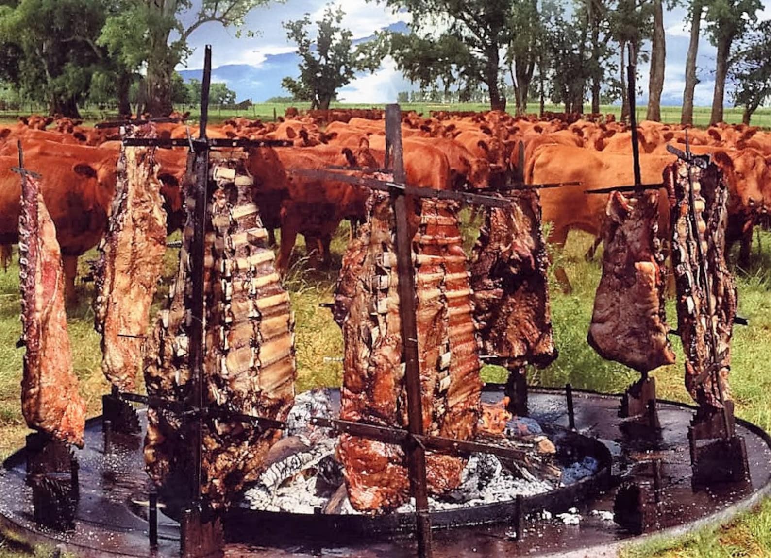Argentina Grill Asador Cruz De Hierro Parrilla Cruz - Etsy UK