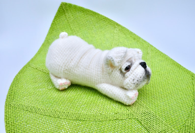English Bulldog Crochet Pattern White Bulldog Adult and Puppy - Etsy