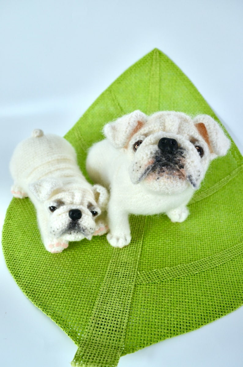 English Bulldog Crochet Pattern White Bulldog Adult and Puppy - Etsy