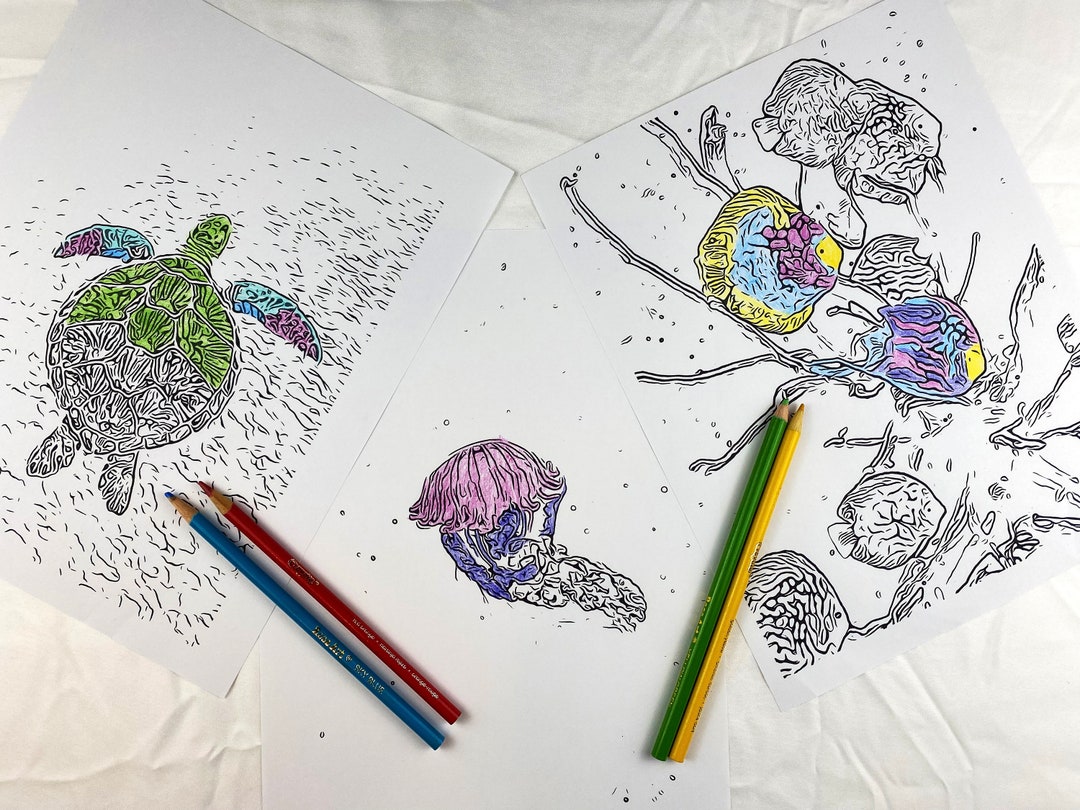 Printable Coloring Page, Sea Turtle Coloring Page, Fish Coloring Page ...