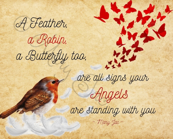 Angel Signs Image A Feather a Robin a Butterfly Too | Etsy UK