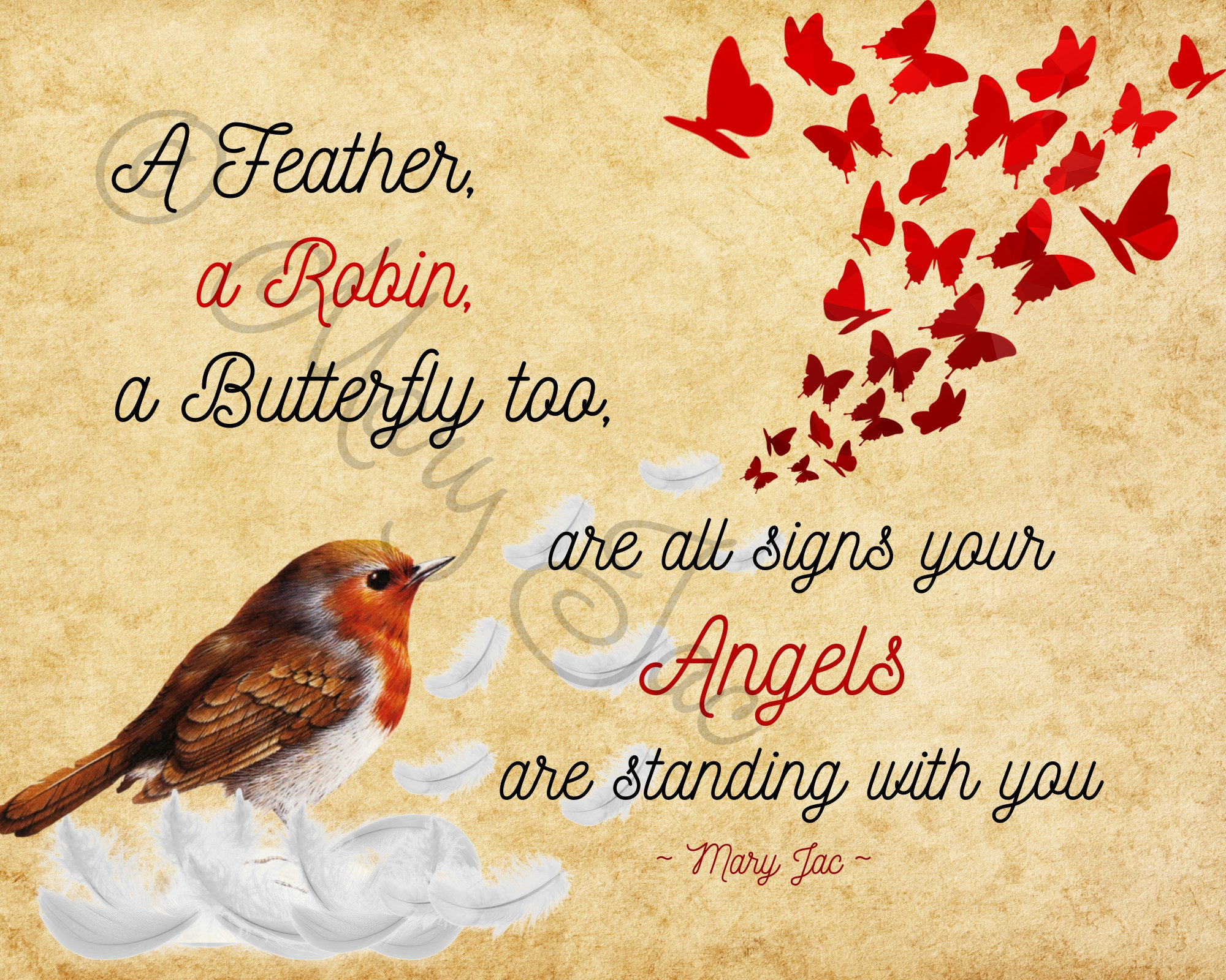Angel Signs Image - A Feather, a Robin, a Butterfly Too - Angel ...