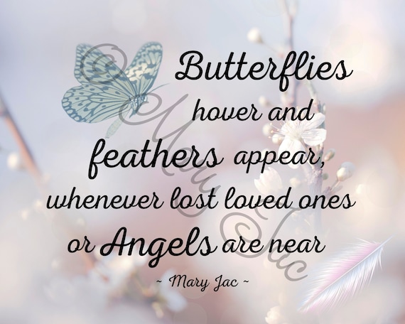 Images Of Butterflies And Angels