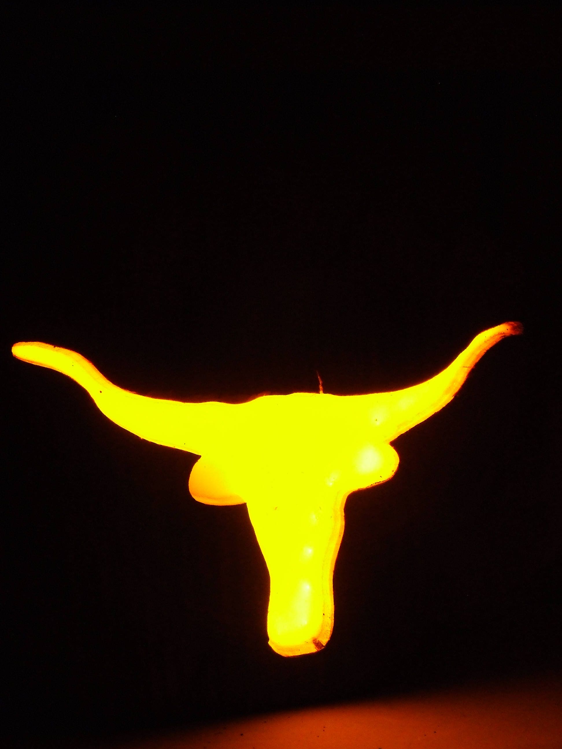 Longhorn Lamp Made From Cherry Wood and Resin. Country and - Etsy